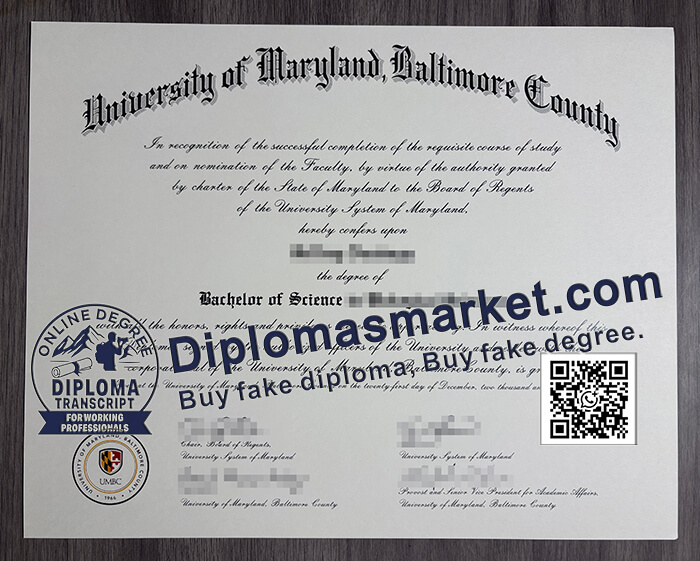 Purchase a University of Maryland Baltimore County degree.
